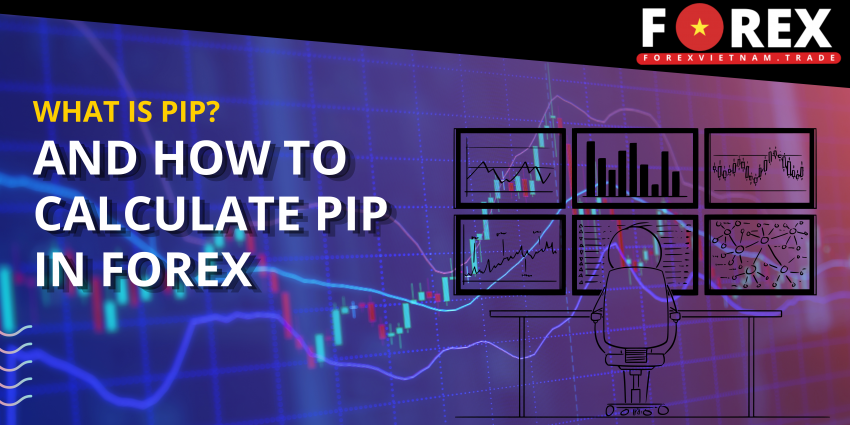 What is PIP? And how to calculate PIP in Forex